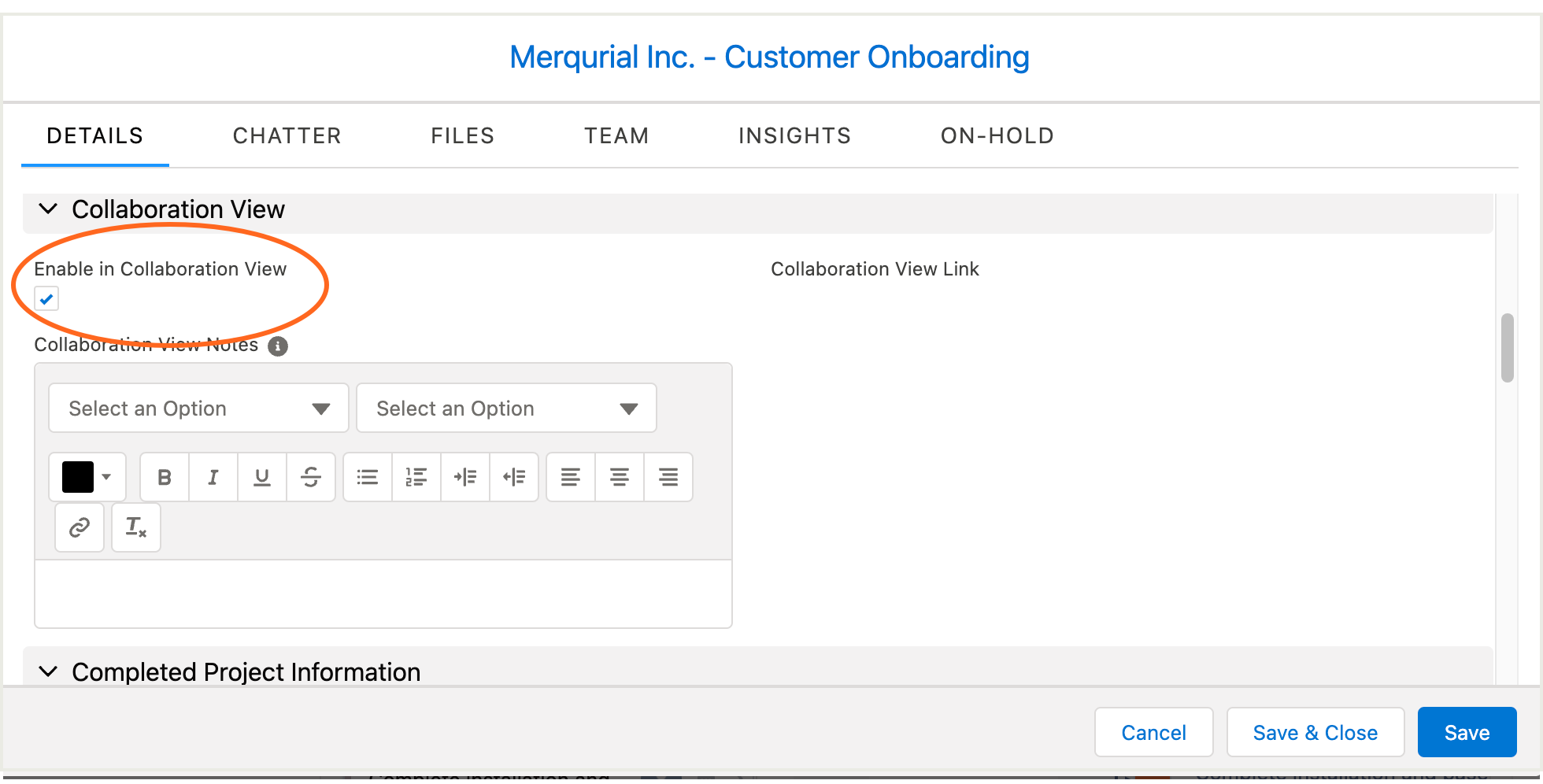 Collaboration View: Internal User Guide – TaskRay
