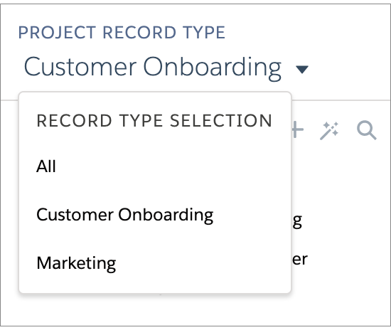 Multiple Record Types Taskray 